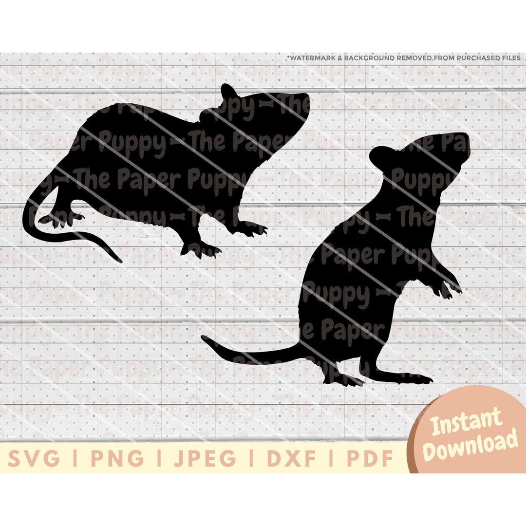 Rat SVG File PNG, PDF, Dxf, Cut File for Cutters and More Fancy Rat ...