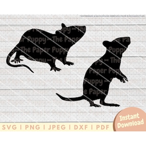 Rat SVG File PNG, PDF, Dxf, Cut File for Cutters and More Fancy Rat ...
