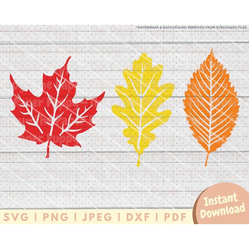 Fall Leaf SVG - PNG, PDF, Dxf, Cut File for Cutters and More - Leaves ...