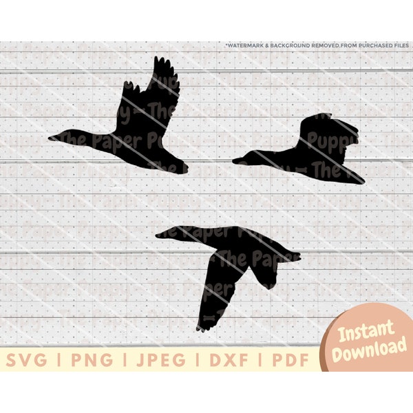 Labrador and Ducks Svg - Etsy