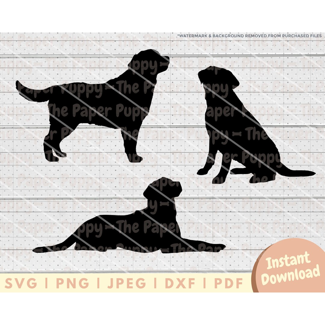 Labrador SVG File - PNG, PDF, Dxf, Cut File for Cutters and More - Lab ...
