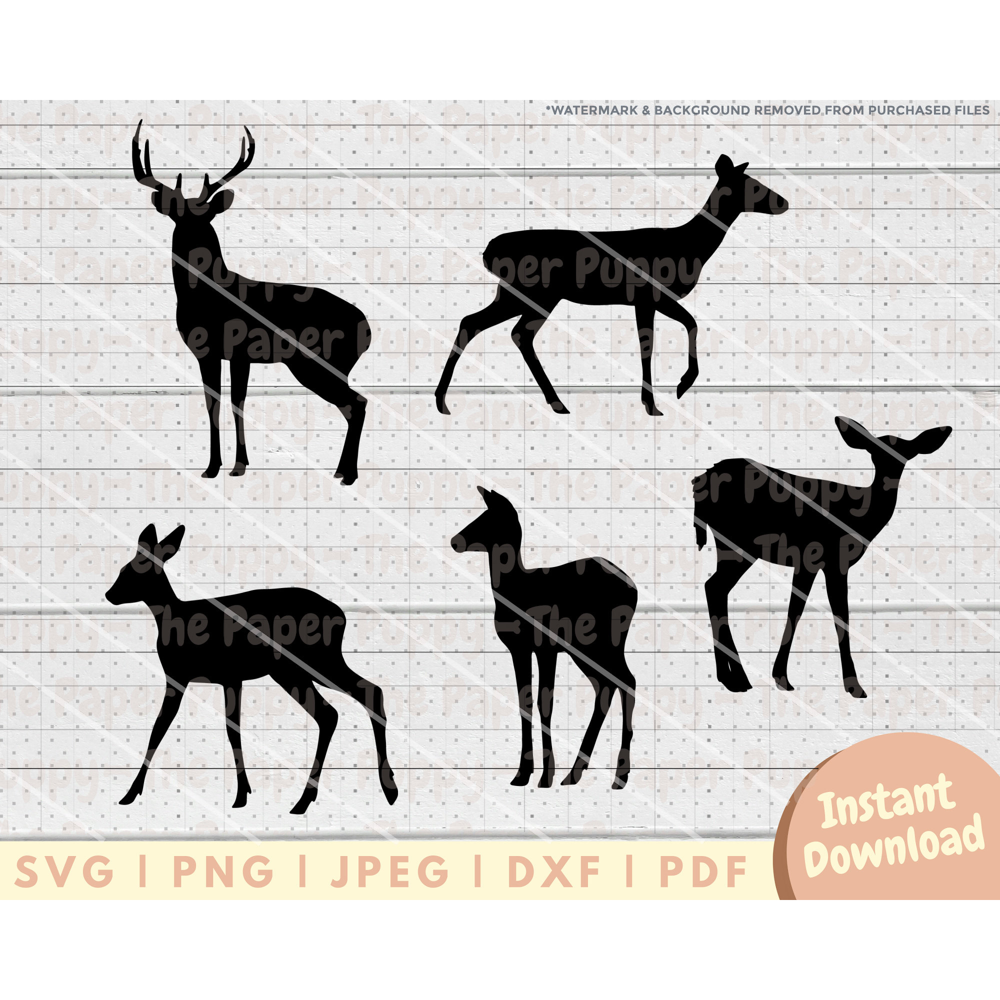 Paquete SVG de venado de cola blanca - PNG, PDF, Dxf, archivo de corte ...