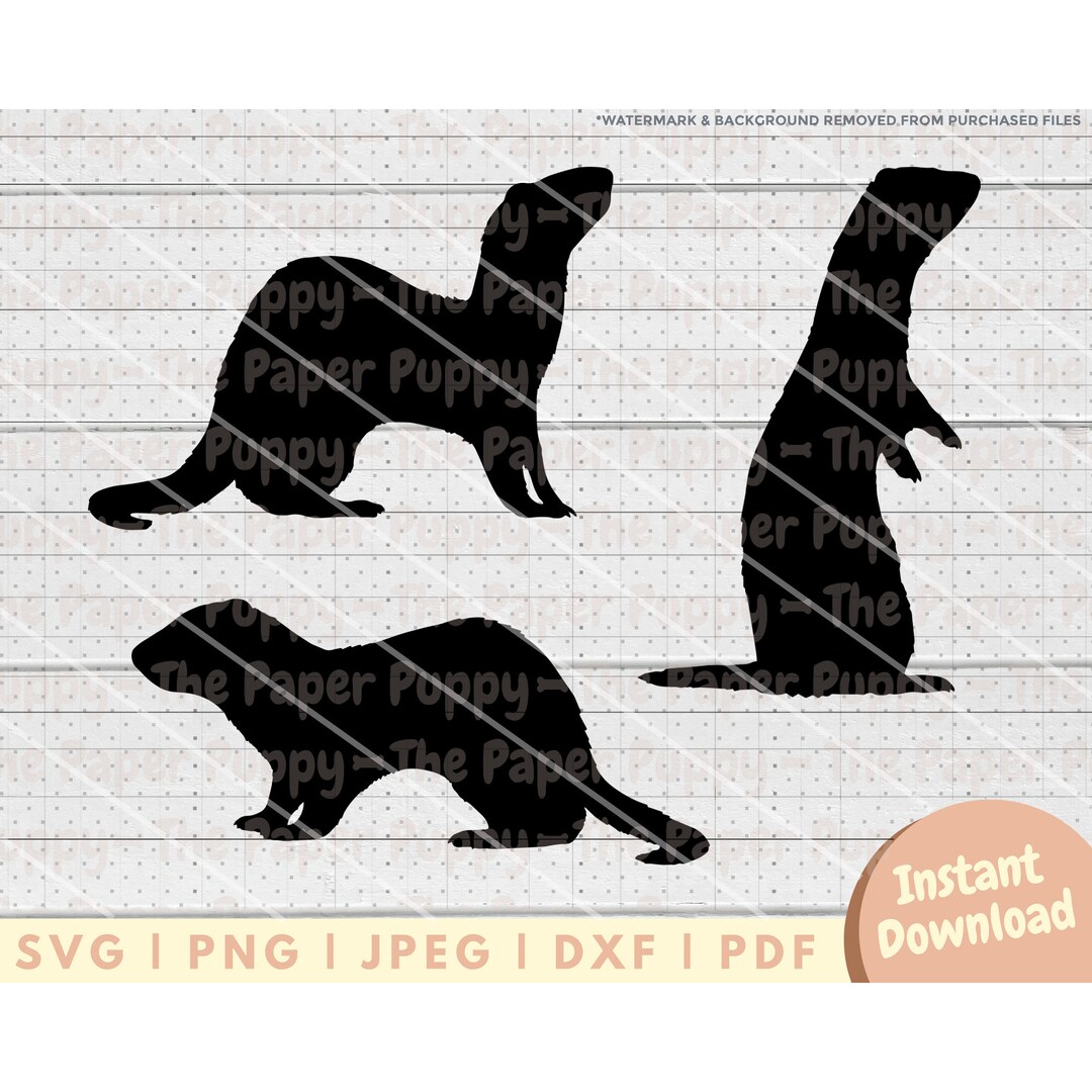 Ferret SVG File - PNG, PDF, Dxf, Cut File for Cutters and More - Ferret ...