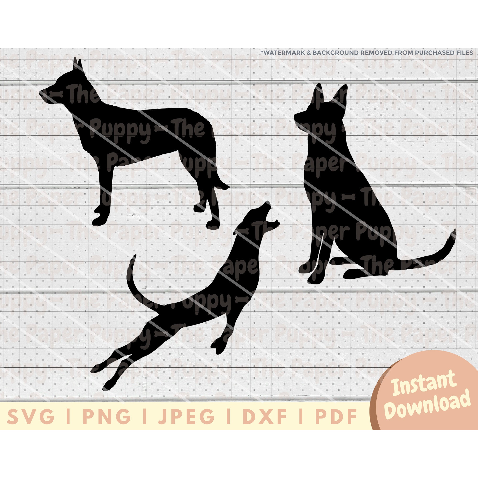 Archivo SVG Malinois - PNG, PDF, Dxf, archivo de corte para cortadores ...