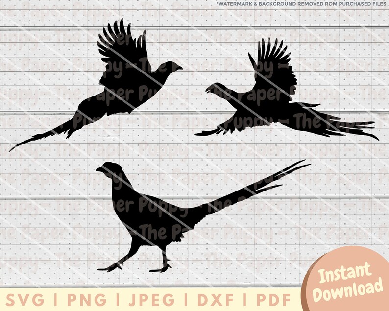 Pheasant SVG File - PNG, PDF, Dxf Cut File for Cutters and More ...