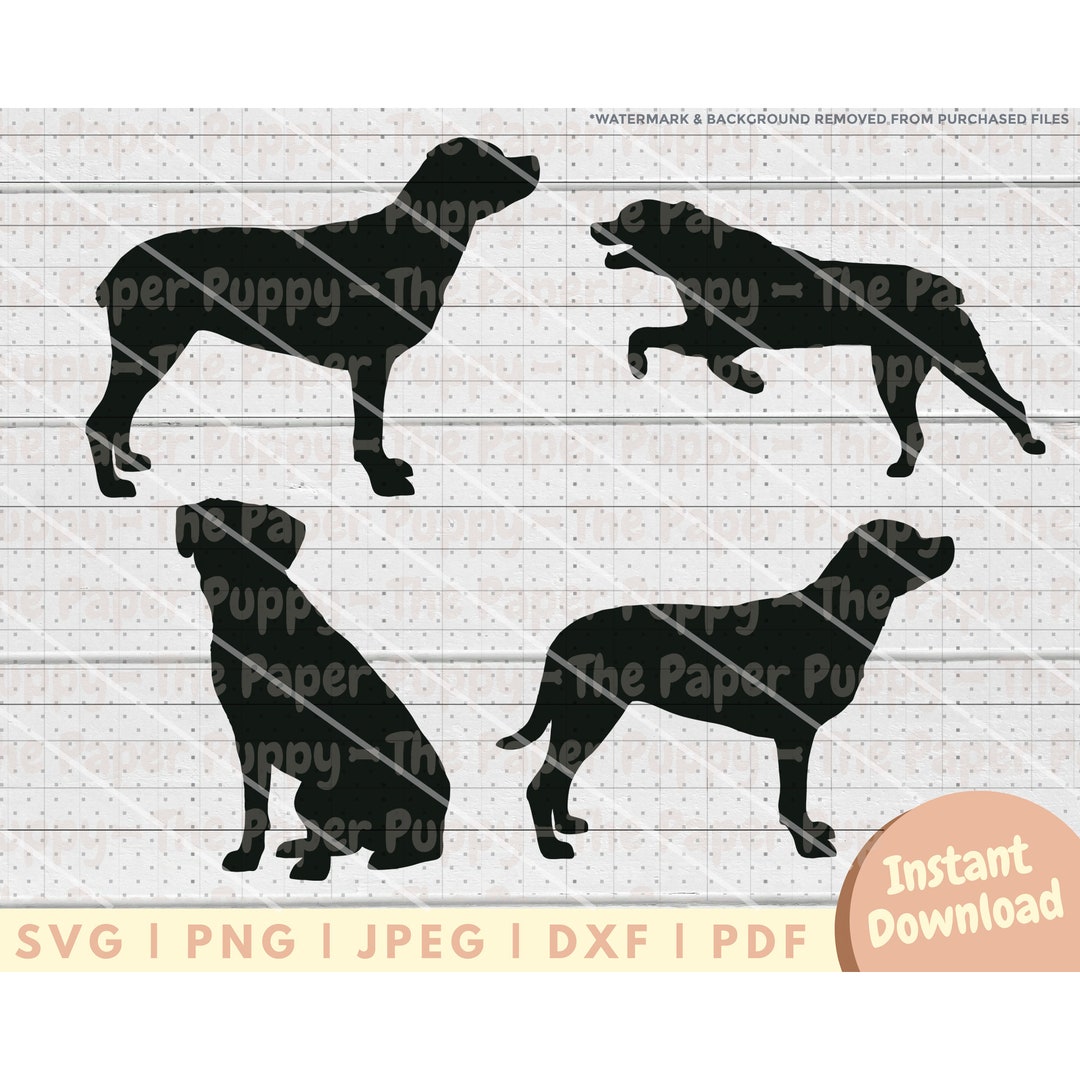Rottweiler SVG File PNG, PDF, Dxf, Cut File for Cutters and More Rottie ...