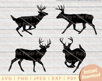 Whitetail Buck Deer Vector Drawing Jpg Svg Png Pdf - Etsy