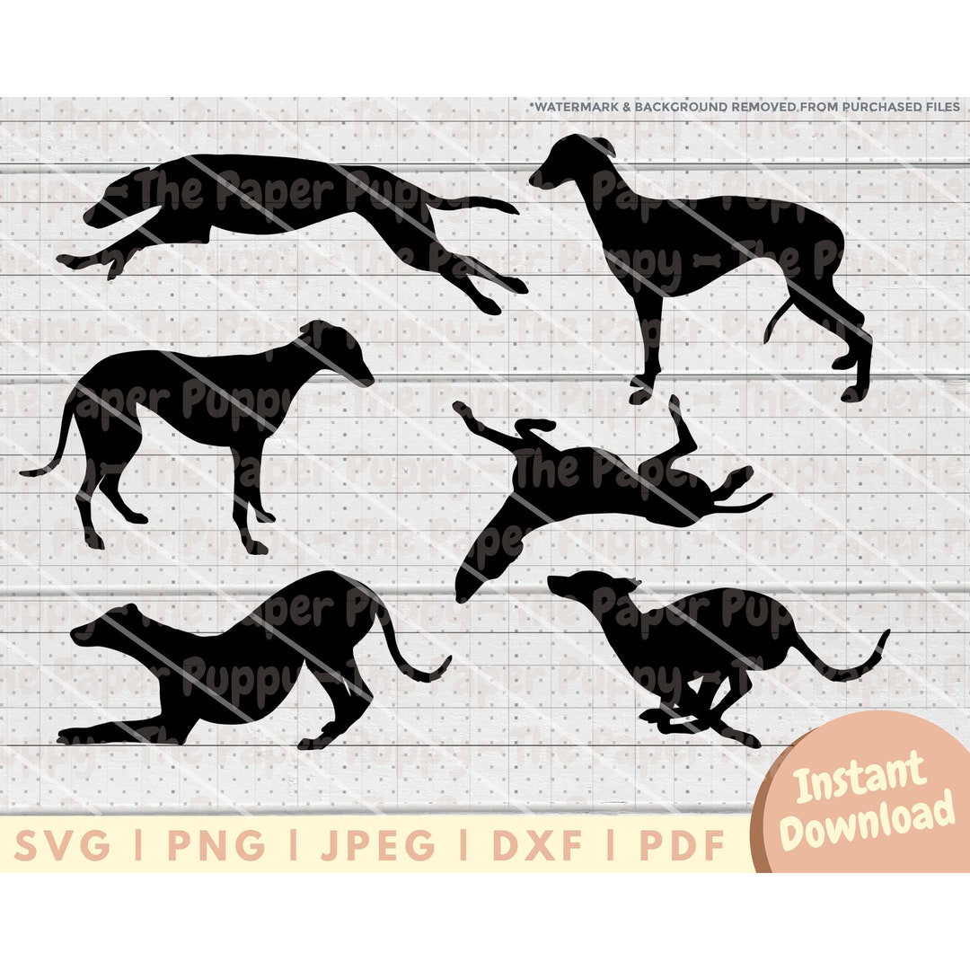 Greyhound SVG File Bundle - PNG, PDF, Dxf, Cut File for Cutters and ...