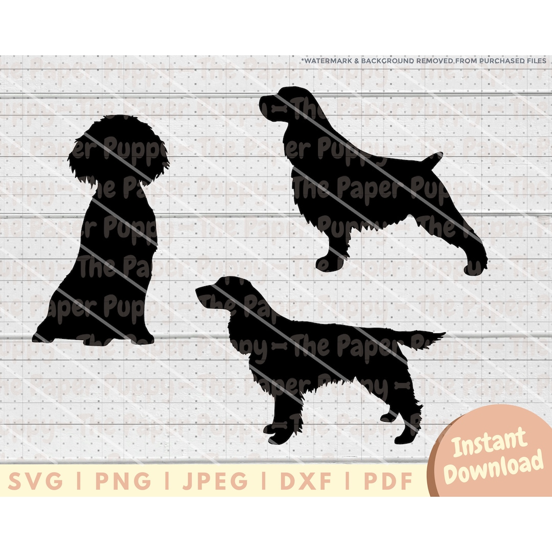 Springer Spaniel SVG File - PNG, PDF, Dxf, Cut File for Cutters and ...