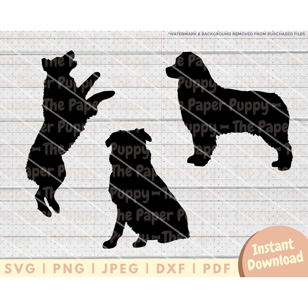 Australian Shepherd SVG File PNG, PDF, Dxf, Cut File for Cutters and ...