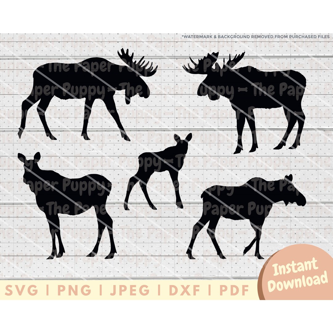 Moose SVG File Bundle - PNG, PDF, Dxf, Cut File for Cutters and More ...