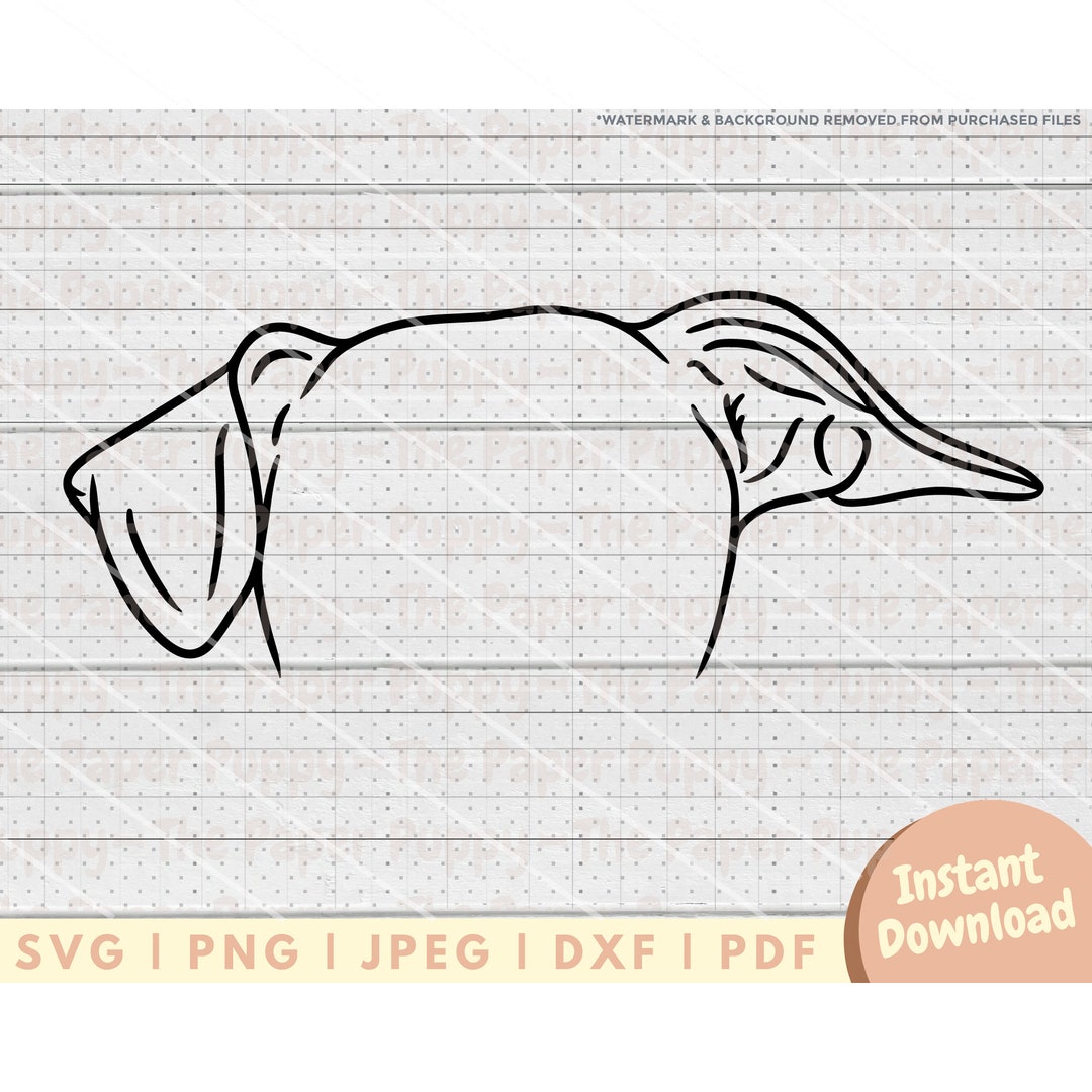 Chiweenie Ear SVG File - PNG, PDF, Dxf, Cut File for Cutters and More ...