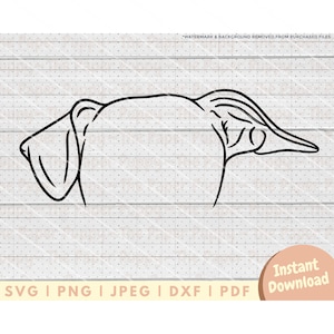Chiweenie Ear SVG File - PNG, PDF, Dxf, Cut File for Cutters and More ...