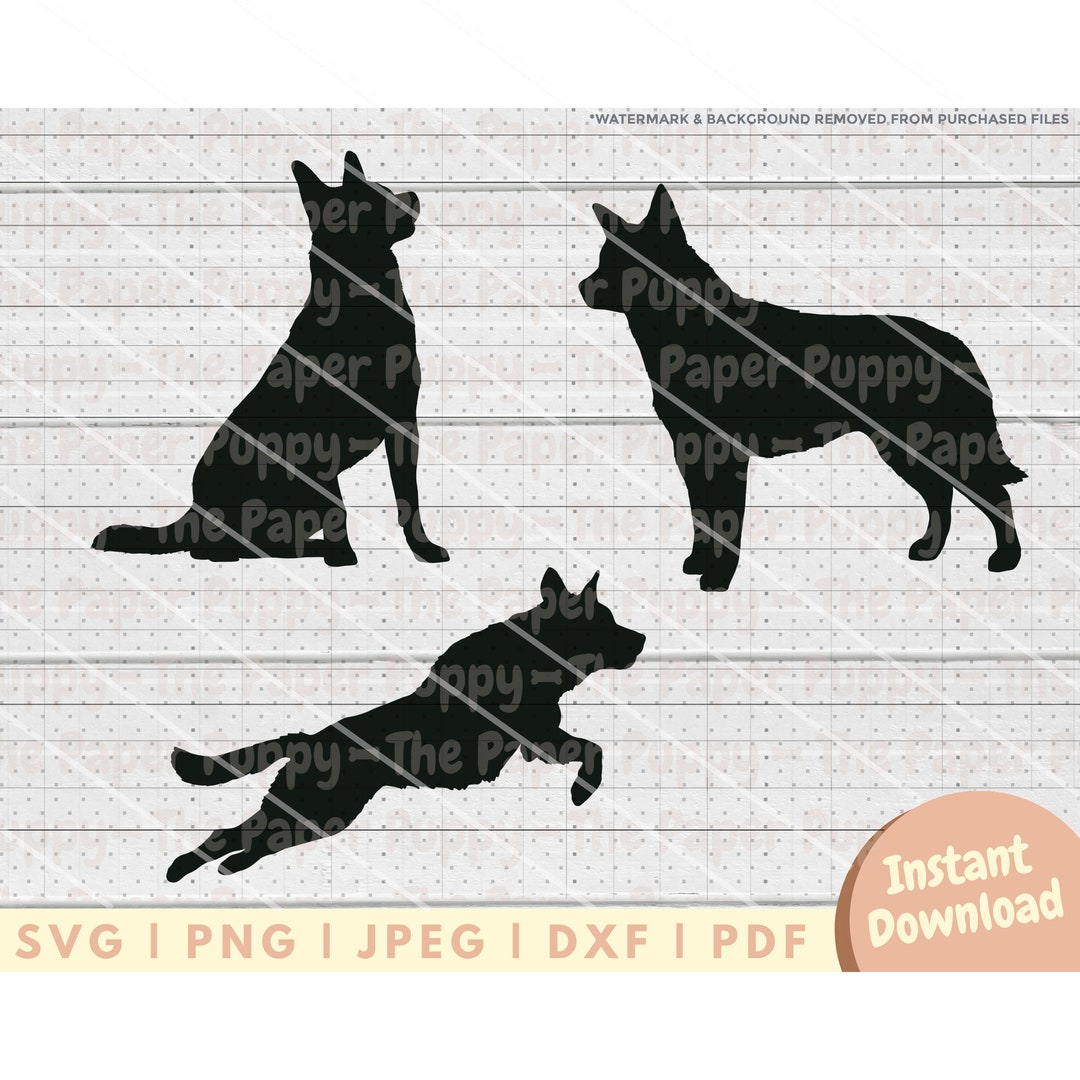Heeler SVG - PNG, Pdf, Dxf, Cut File for Cutters and More - Australian ...