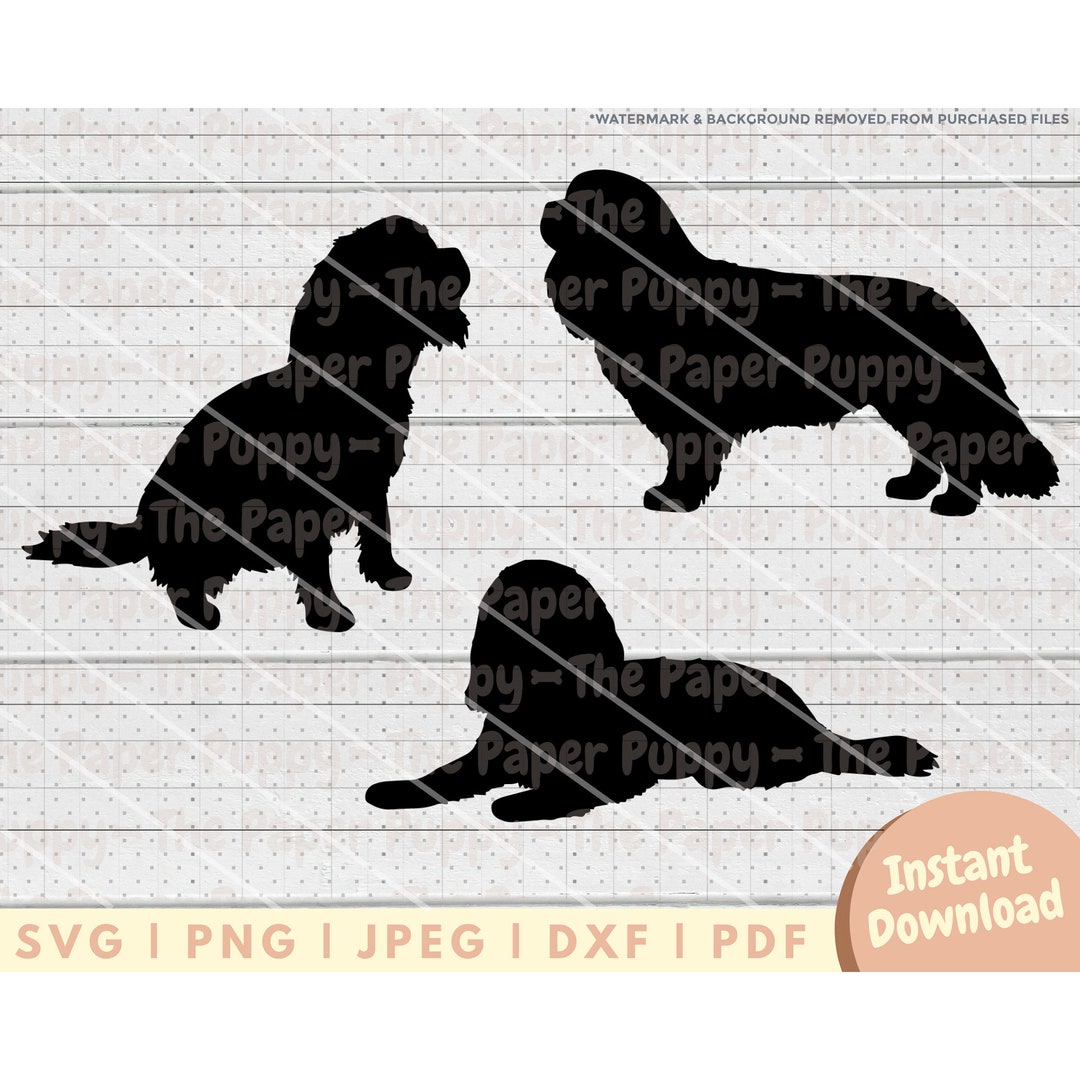 Cavalier Spaniel SVG File - PNG, PDF, Dxf, Cut File for Cutters and ...