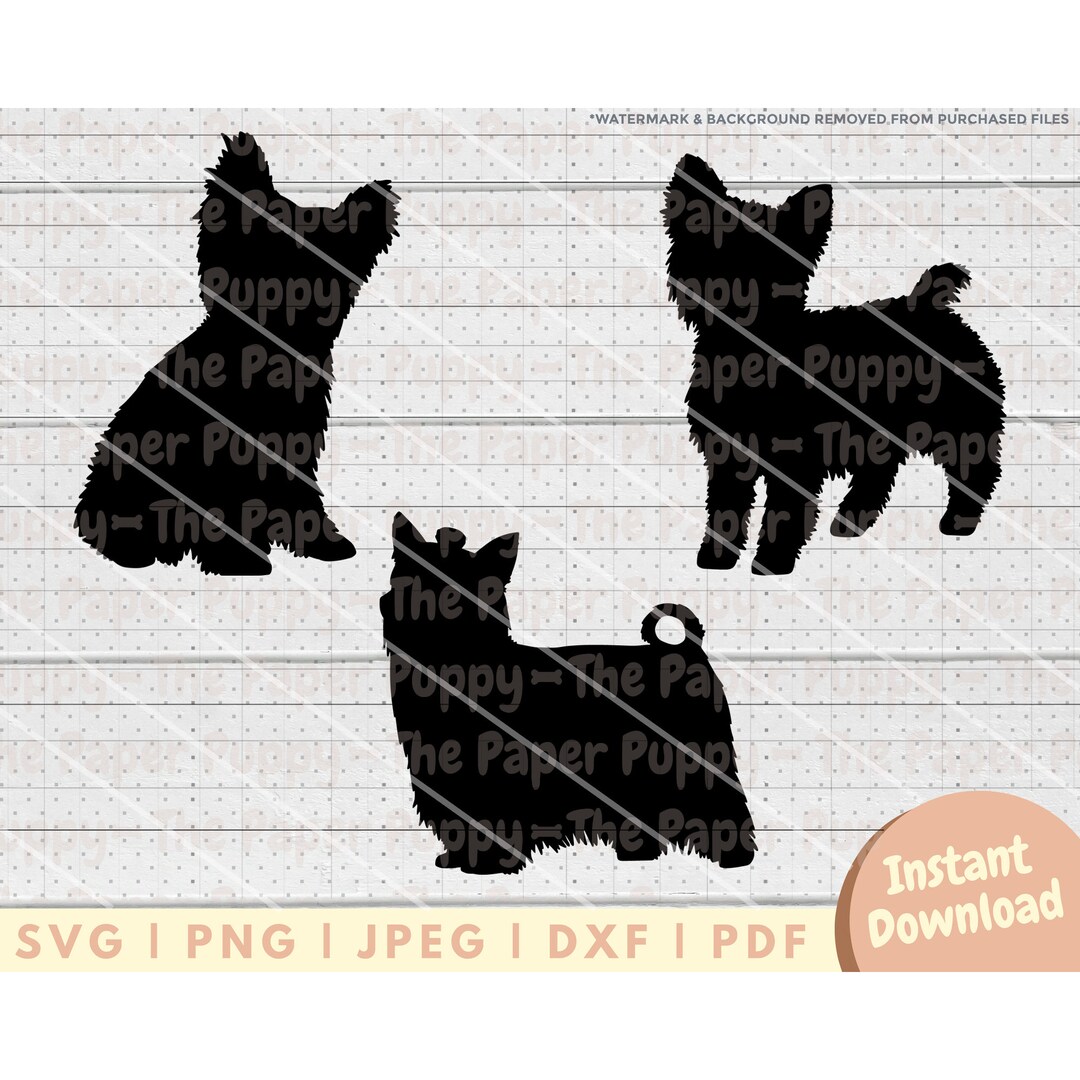 Yorkshire Terrier SVG File - PNG, PDF, Dxf, Cut File for Cutters and ...