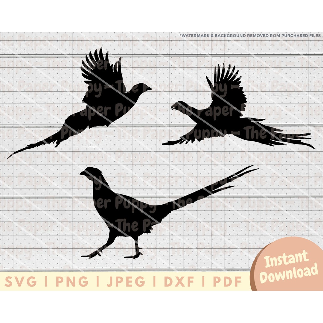 Pheasant SVG File - PNG, PDF, Dxf Cut File for Cutters and More ...