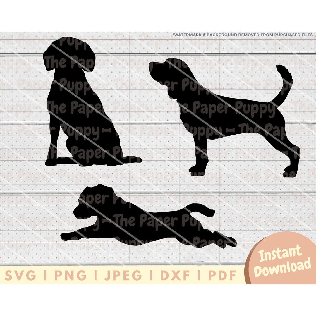Beagle SVG File Bundle - PNG, PDF, Dxf, Cut File for Cutters and More ...