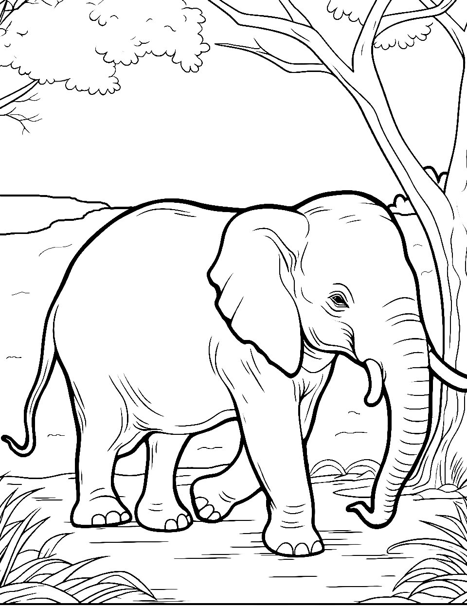 25 Elephant Coloring Pages ,printable Pdf Book for Kids and Adults - Etsy