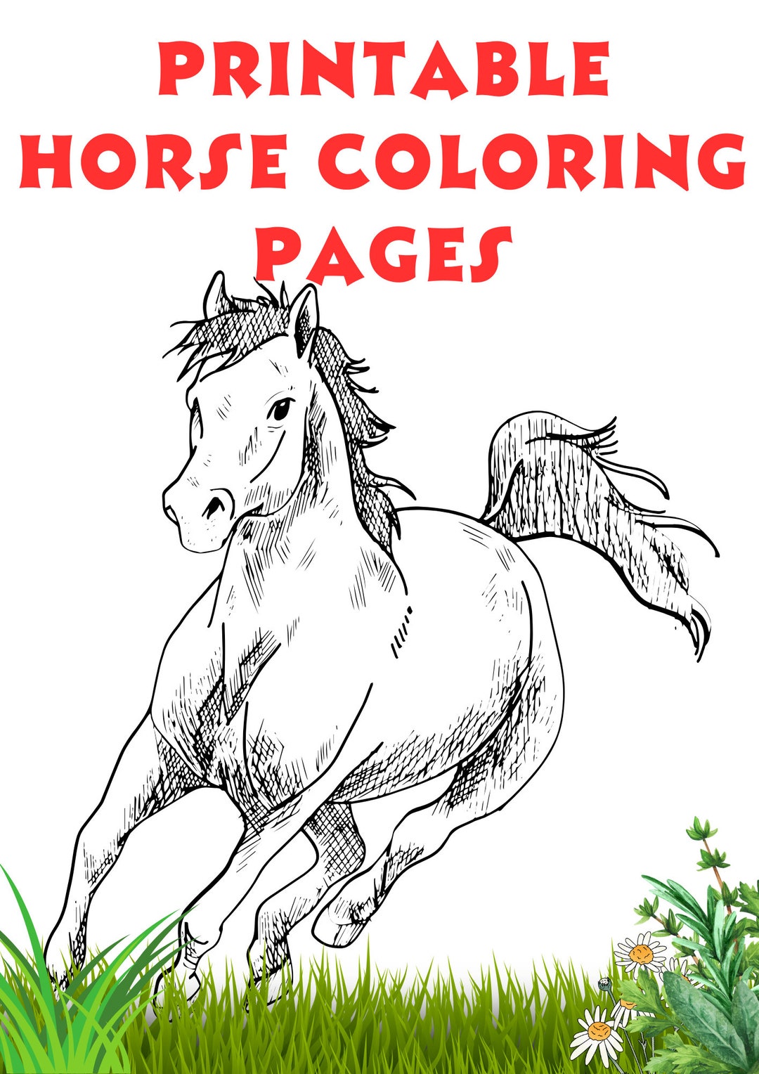 50 Pages Horse Coloring Page Coloring Book for All Ages - Etsy