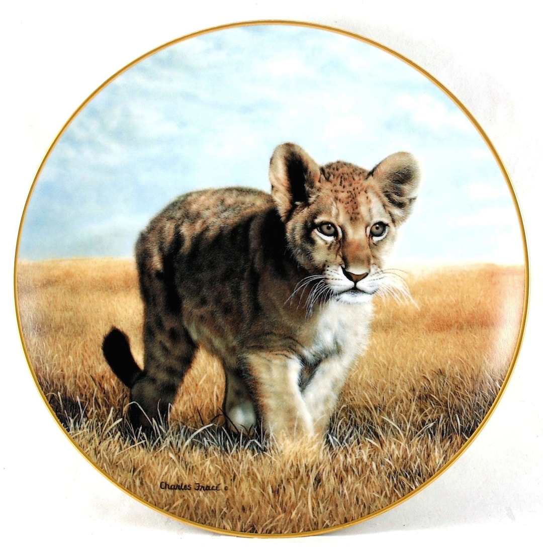 Young Explorer Plate 1989 Charles Fracé Wildlife Hamilton Collection ...