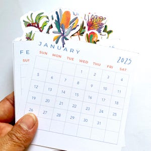 Desk Calendar With Australian Native Flora Illustration | 2025 - 2026 ...