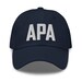 APA Airport Code Hat Embroidered Hat Dad Hat Colorado Aviation Gifts ...