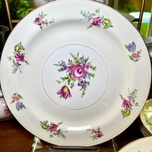 Eggshell Nautilus Priscilla Pattern - Household Institute -vintage ...