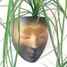 Face Wall Planter Succulent Pot Indoor Planter Wall Hanging Head Pot ...