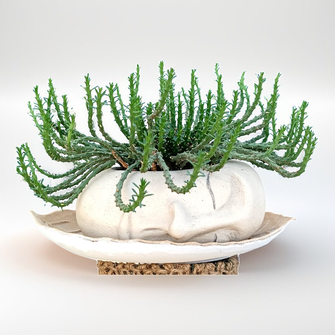 Modern Ceramic Indoor Vase Flower Pot Living Room Table Centerpiece ...