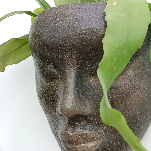Planter Head - Etsy