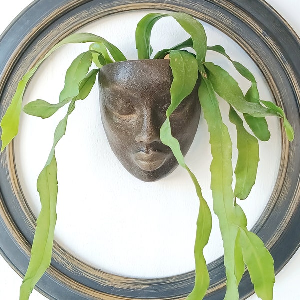 African Planters - Etsy