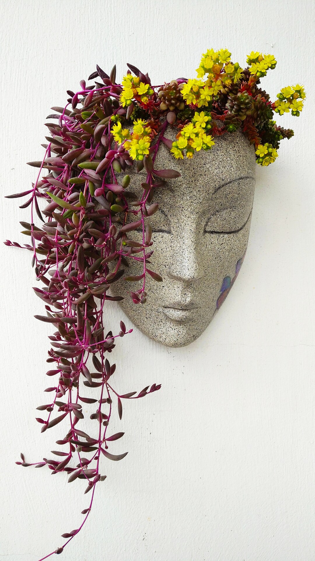 Handmade Human Face Wall Planters - Creative Plant Display - Face Plant ...