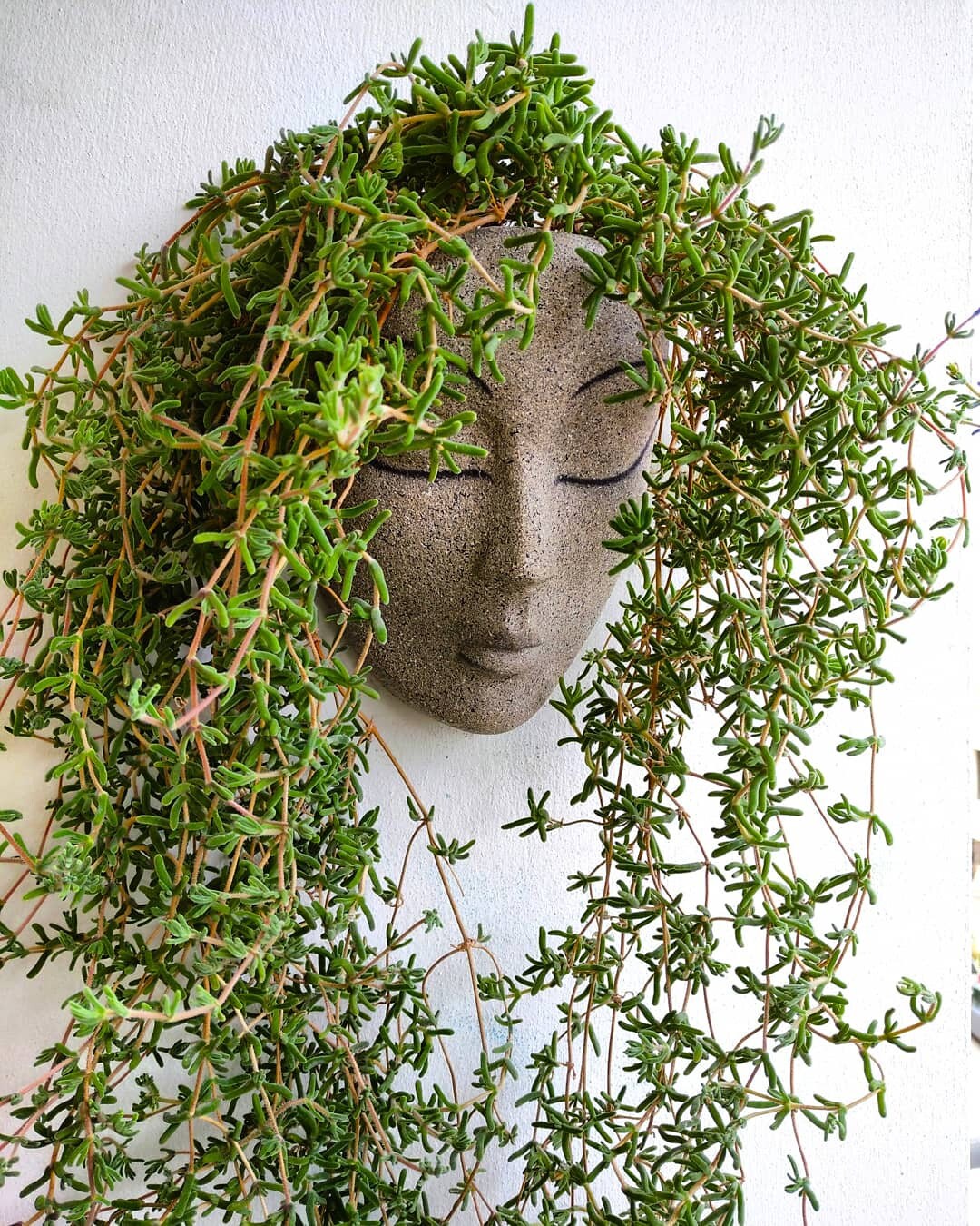 Handmade Human Face Wall Planters Creative Plant Display Face Plant ...