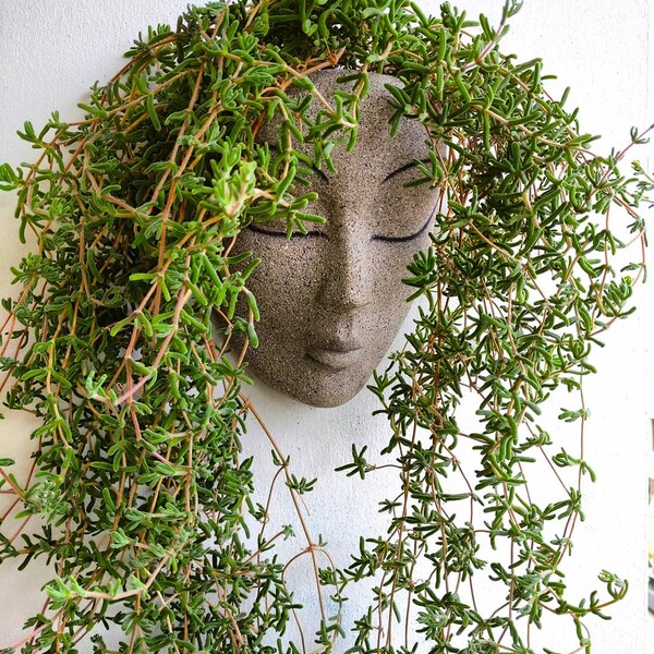 Wall Pot - Etsy