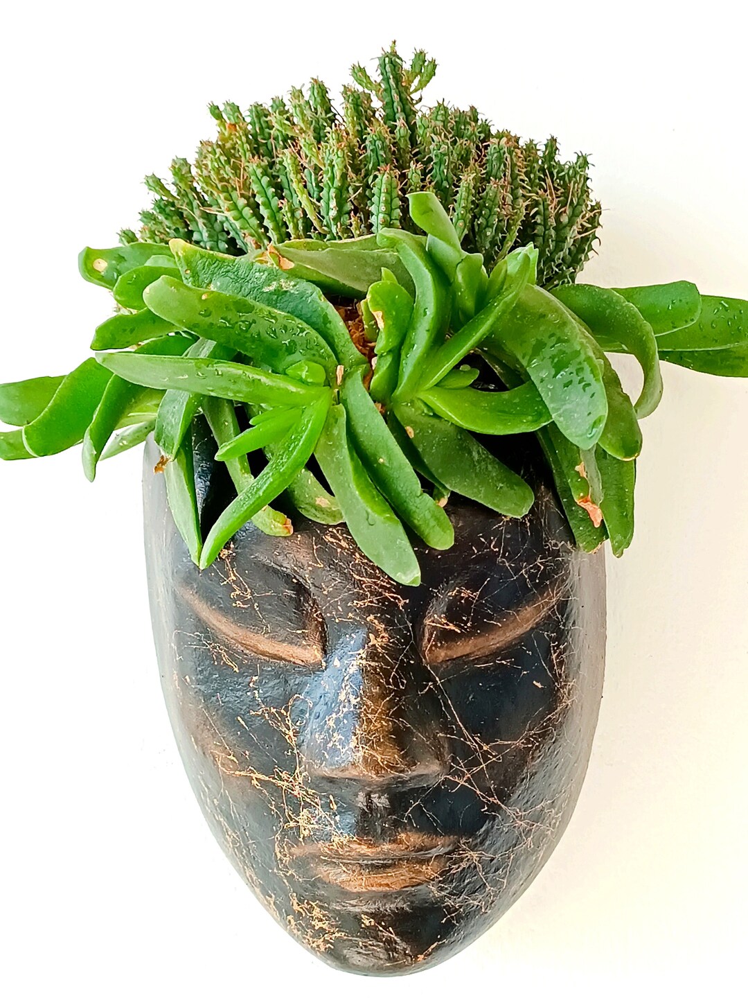 Handcrafted Male Face Wall Planter Indoor Decor Sculpture for ...