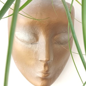 Face Wall Planter Succulent Pot Indoor Planter Wall Hanging Head Pot ...