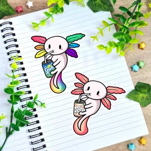 Rainbow Axolotl 3" Glossy Vinyl Sticker - Etsy
