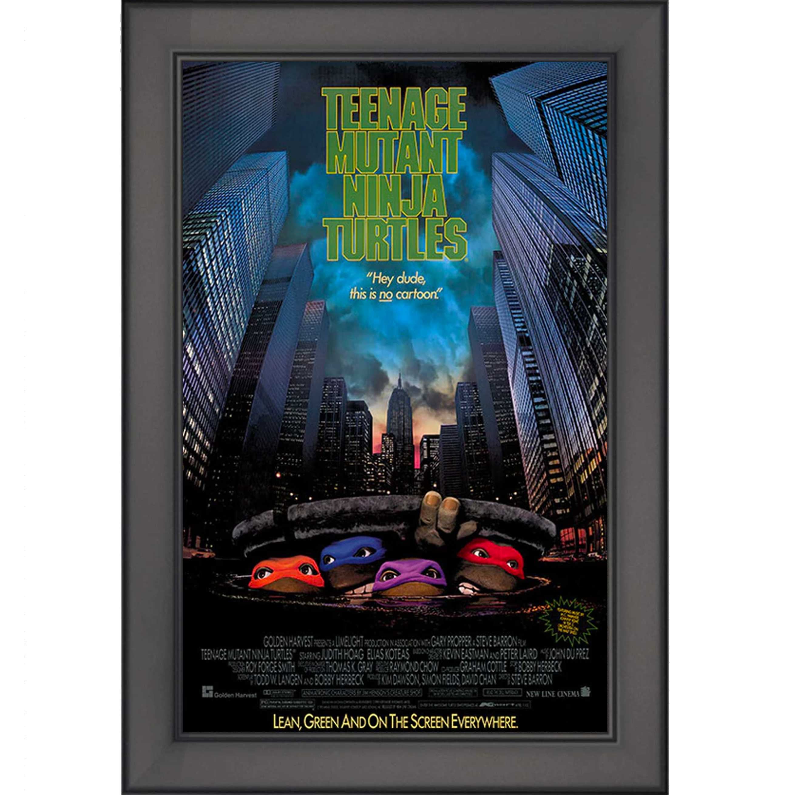 Teenage Mutant Ninja Turtles Movie Poster