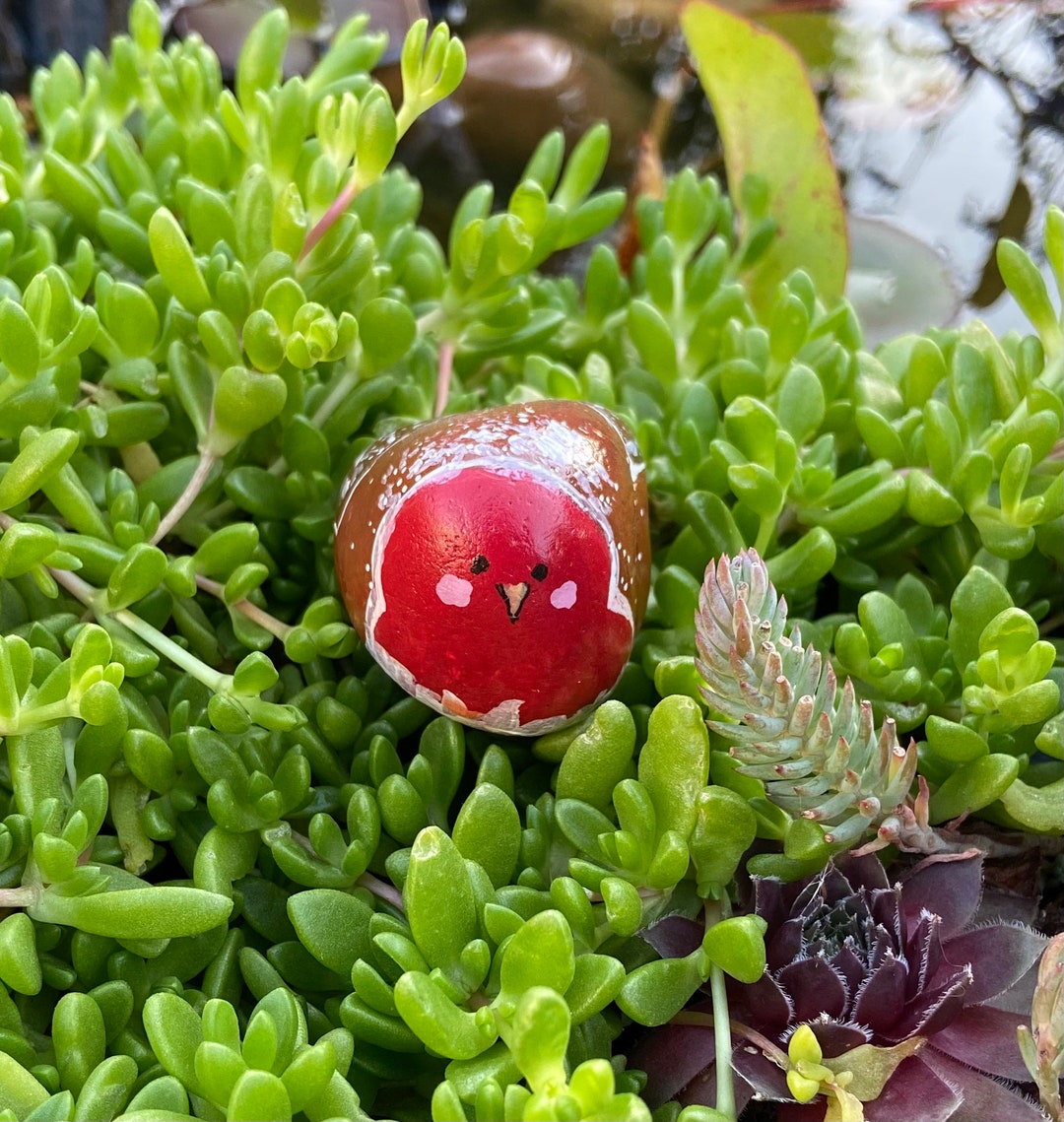 Robin Hand Painted Rock / Stone - Small Unique Gift - Christmas - Cute ...