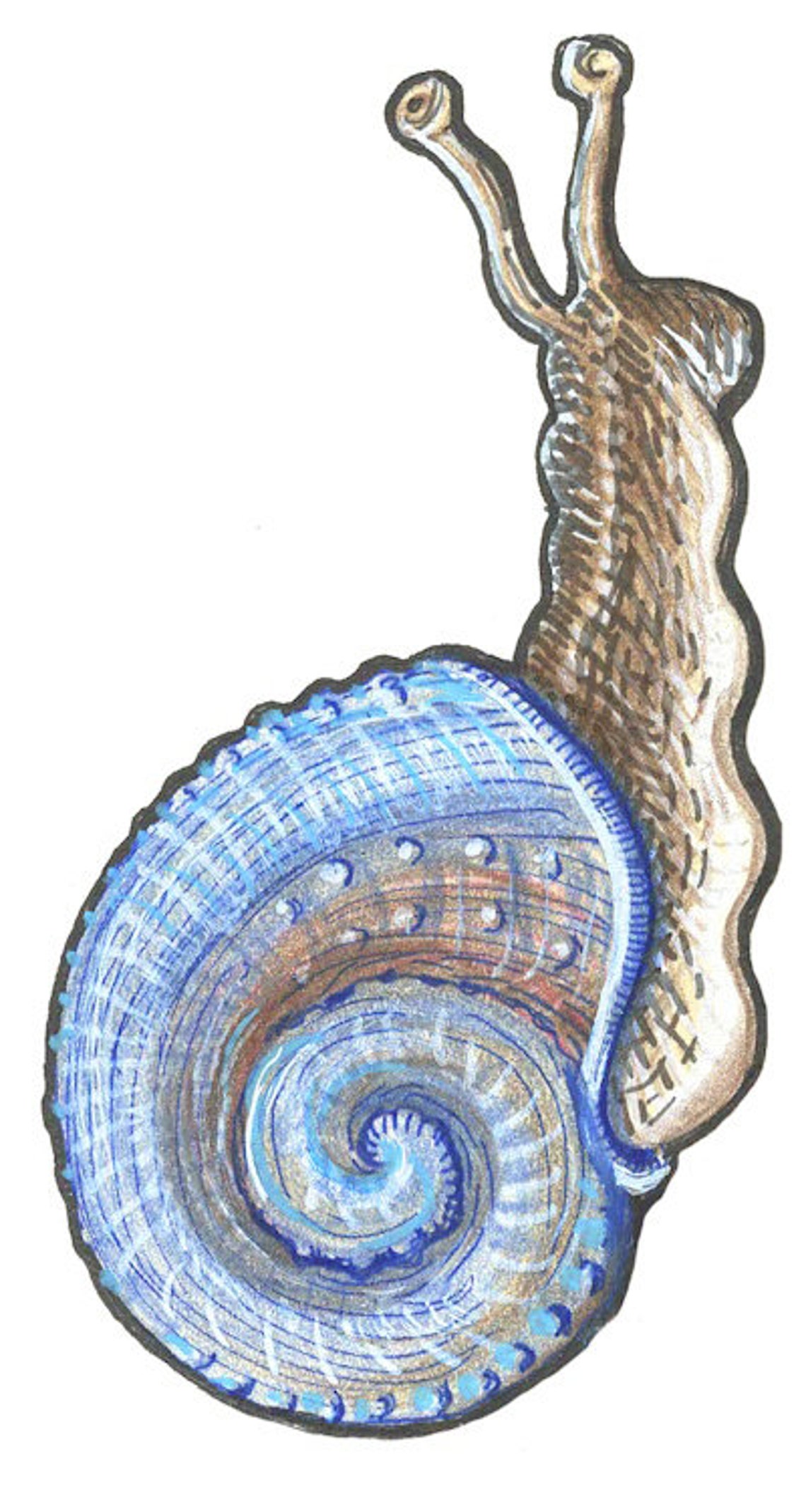 Draw Medieval Snails - a One Page Folding Zine - Etsy