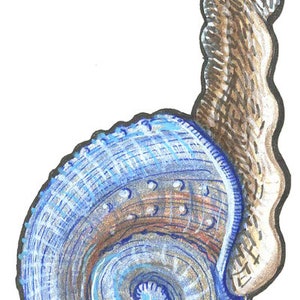 Draw Medieval Snails - a One Page Folding Zine - Etsy