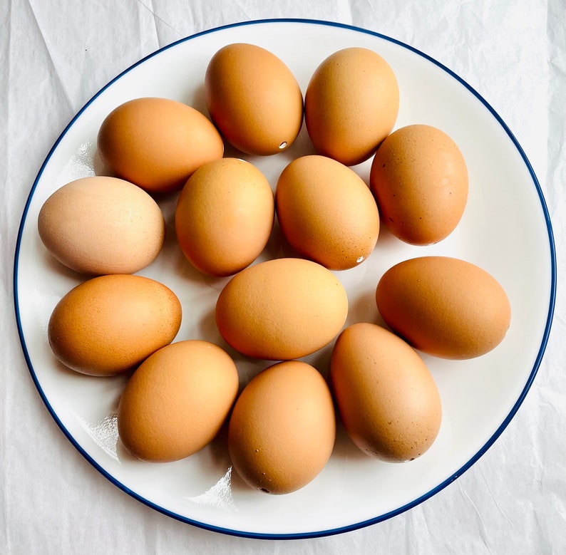 Real Jumbo Chicken Egg Shells, Clean and Empty - Etsy