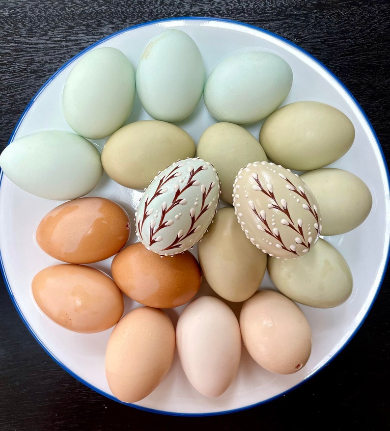 Rainbow Chicken Egg Shells, Clean & Empty, Farm Eggs, Pysanky. Mix of ...