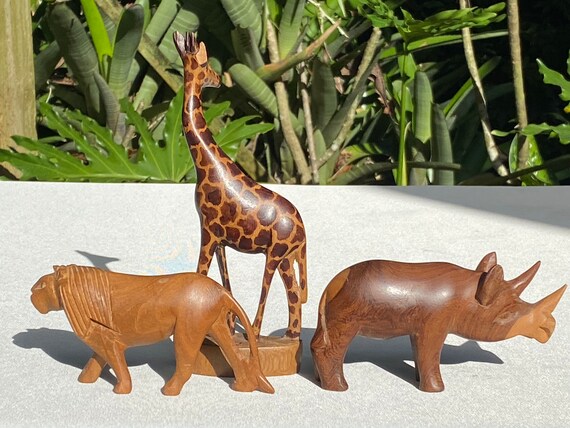Half Donkey Half Giraffe