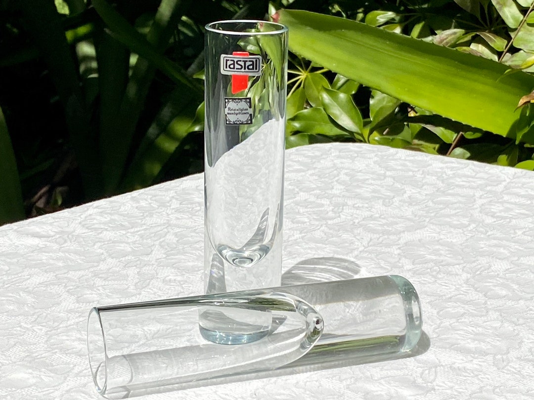 Vintage Rastal Blown Glass Pair of Vodka Shot Glasses 2 Ounce - Etsy