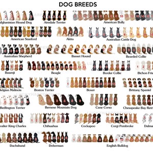 Printable Digital Personalized Family Portrait With Pets - Etsy