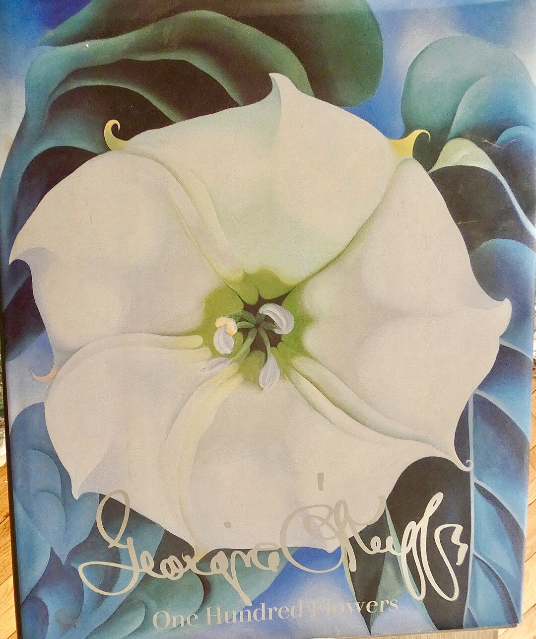 Vintage Georgia O'keeffe one Hundred Flowers Edited by Nicholas ...