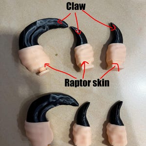Raptor Claw 3dprint for Croc - Etsy