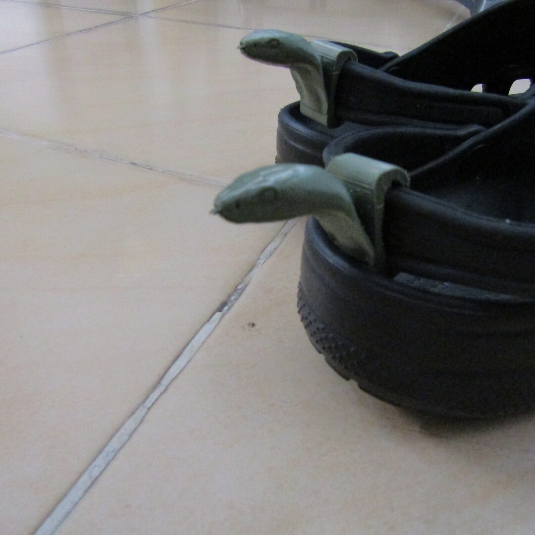 Snake for Croc With Many Color Selection - Etsy